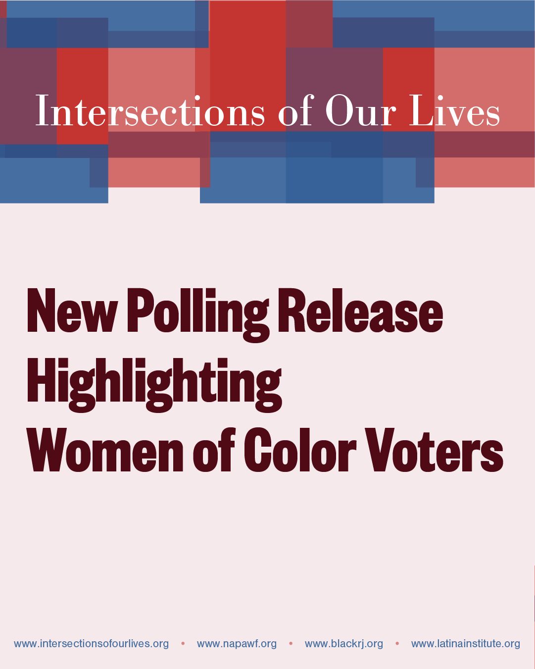 Intersections of Our Lives 2024 Poll - HIT Strategies